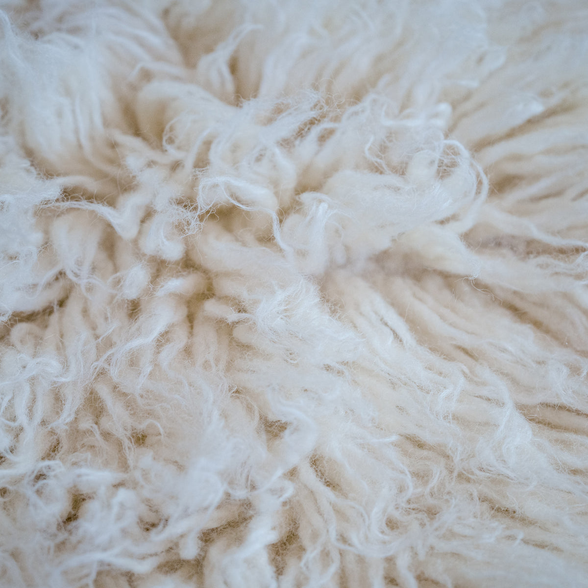 Flokati Rug - 1400 grms Thickness – Sheepskin World